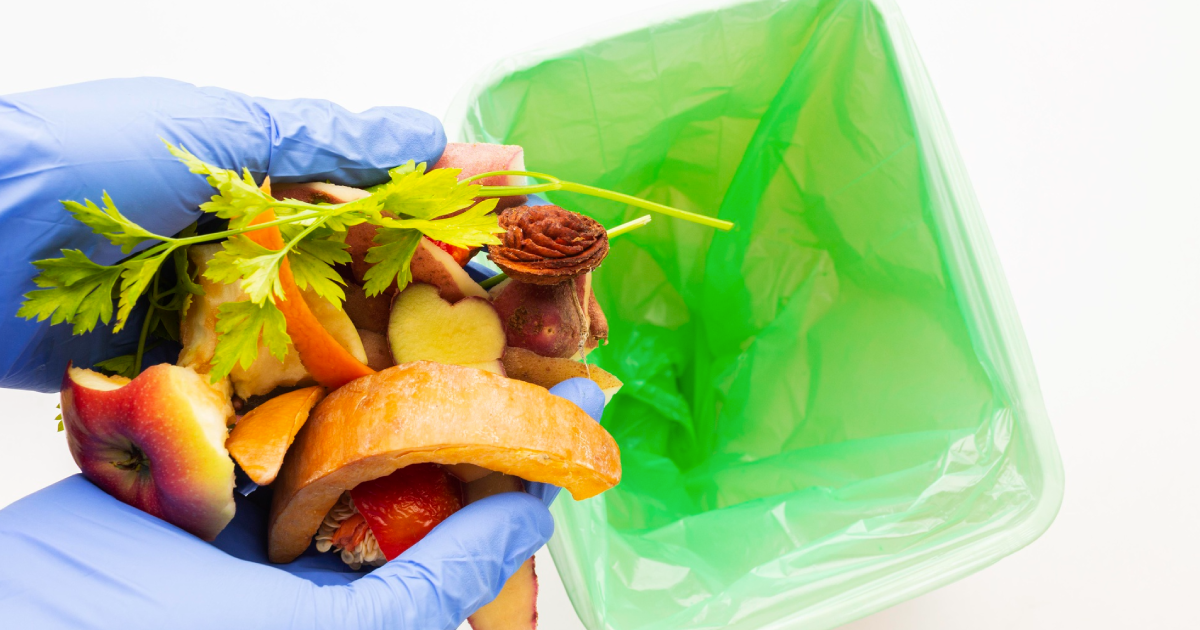 Prevent and Respond Faster to Food Outbreaks and Recalls • CeleriTech
