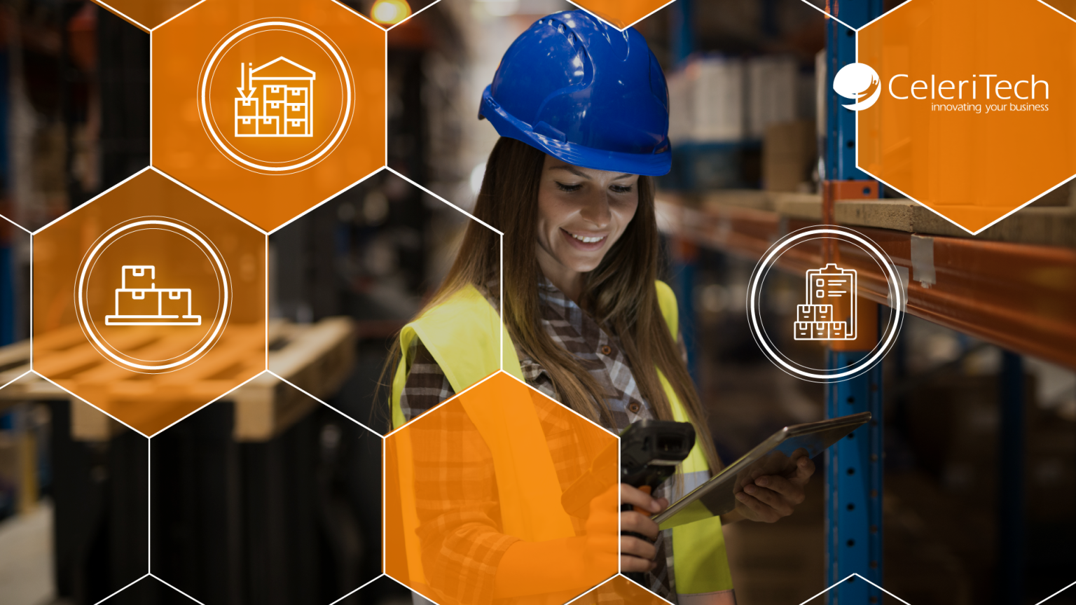 Business Software Solutions and Consulting • CeleriTech