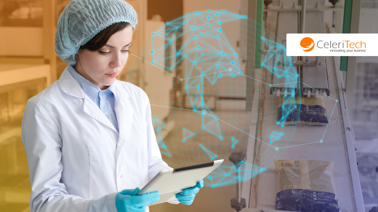 Business Software Solutions and Consulting • CeleriTech