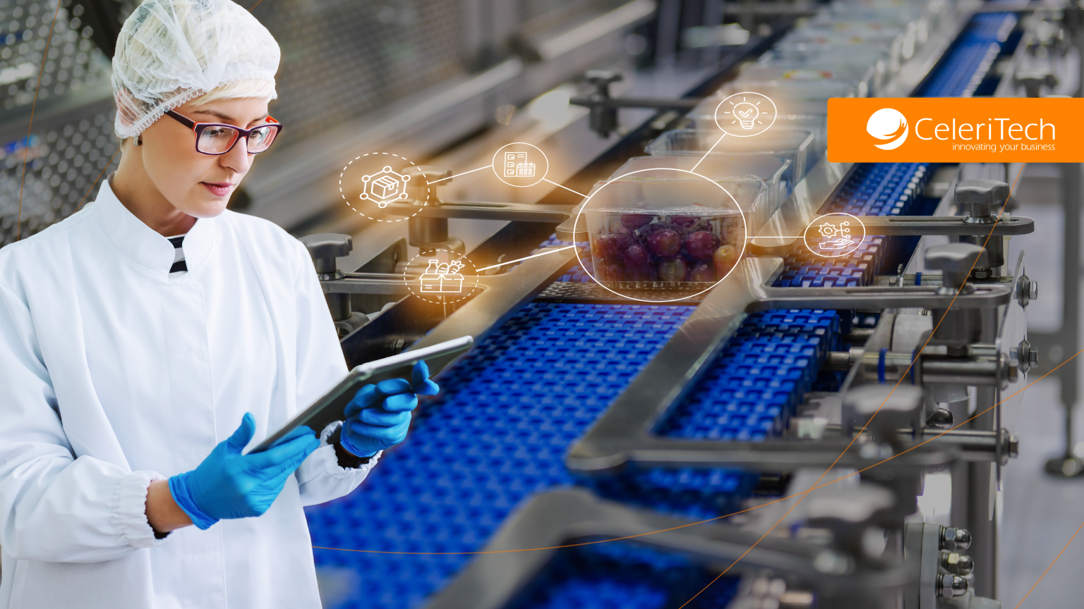 Business Software Solutions and Consulting • CeleriTech